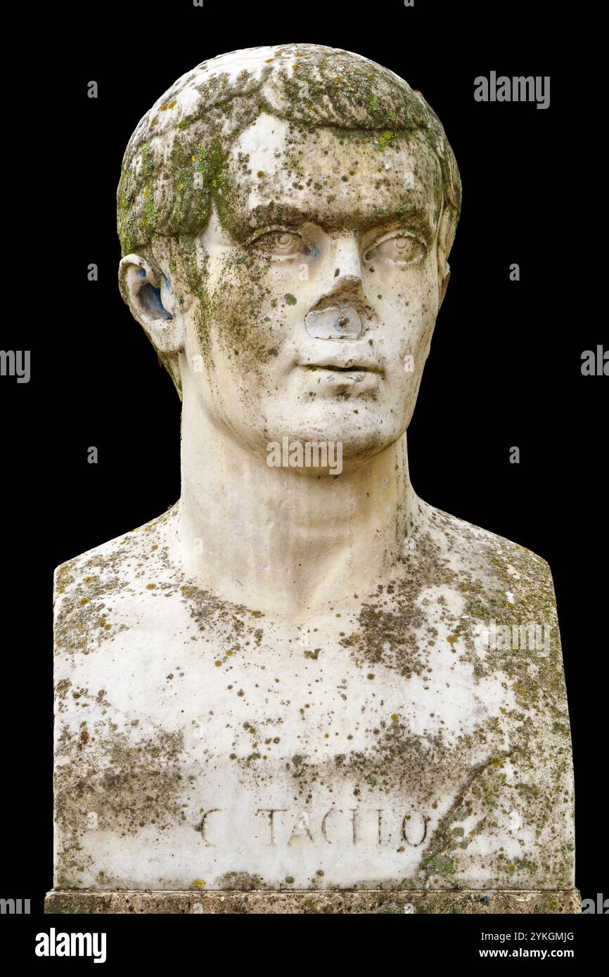 Art historian hi-res stock photography and images - Alamy