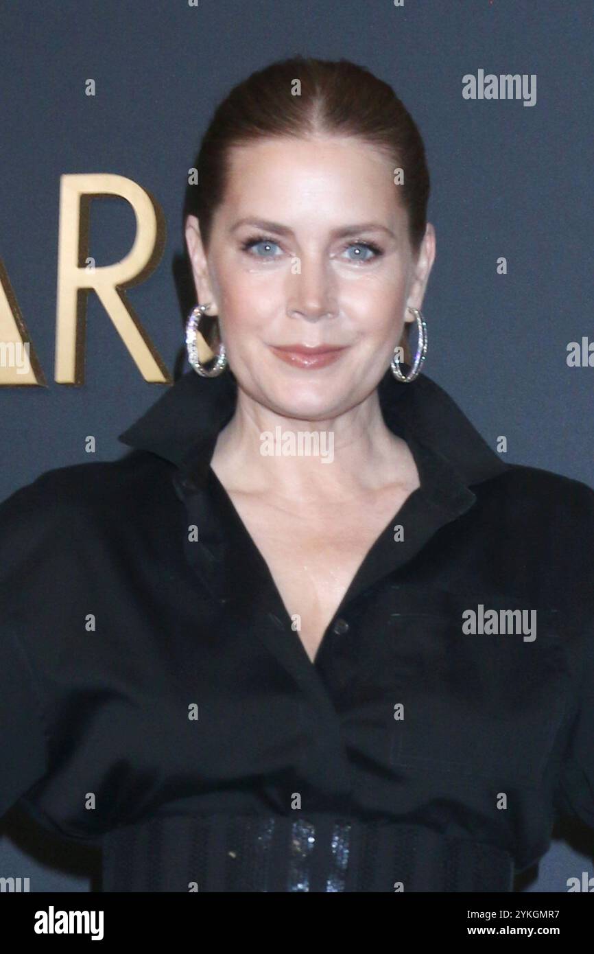 Ca. 17th Nov, 2024. Amy Adams at arrivals for 15th Governors Awards ...