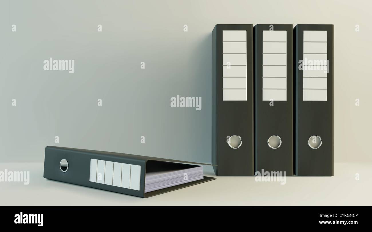 File binder. Ring paperwork holder. Business paper organize for office ...