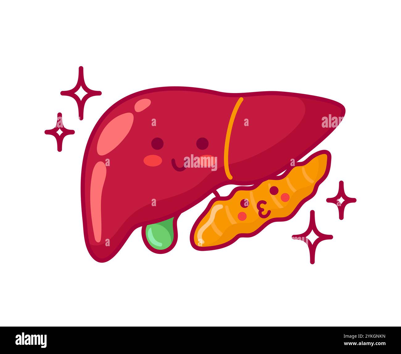 Liver health infographic hi-res stock photography and images - Alamy