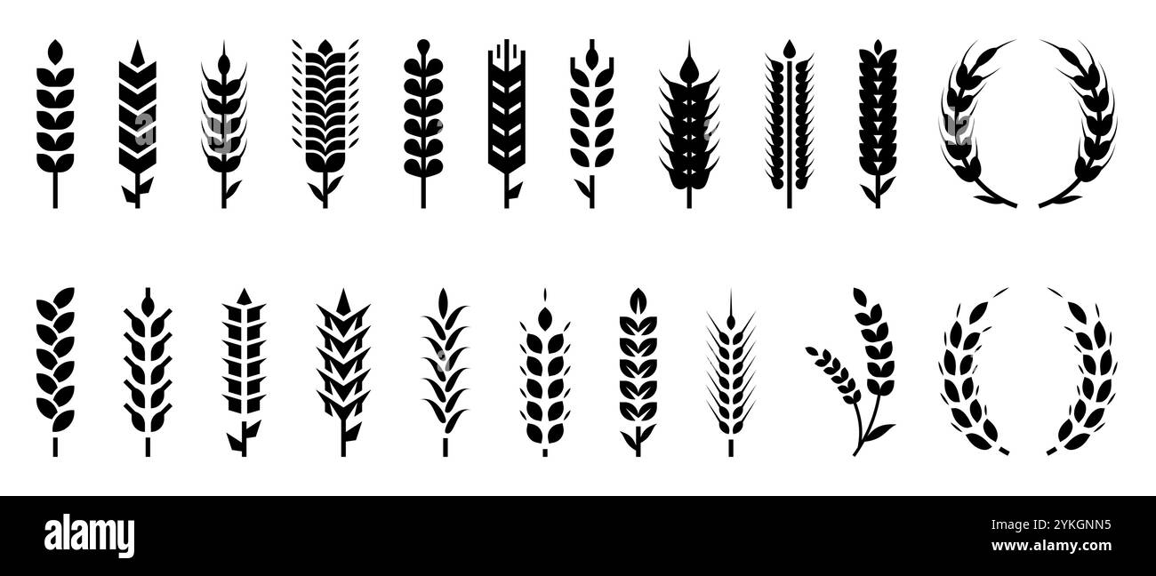 Wheat icon. Ear, barley corn logo, silhouette for rice grain bread. Rye ...