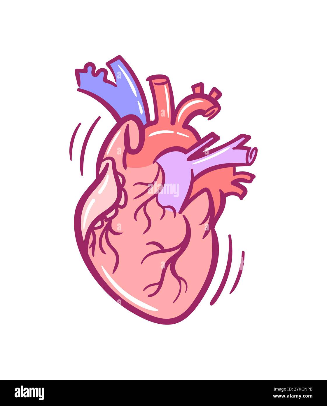 A detailed, hand-drawn illustration of a realistic anatomical heart in ...