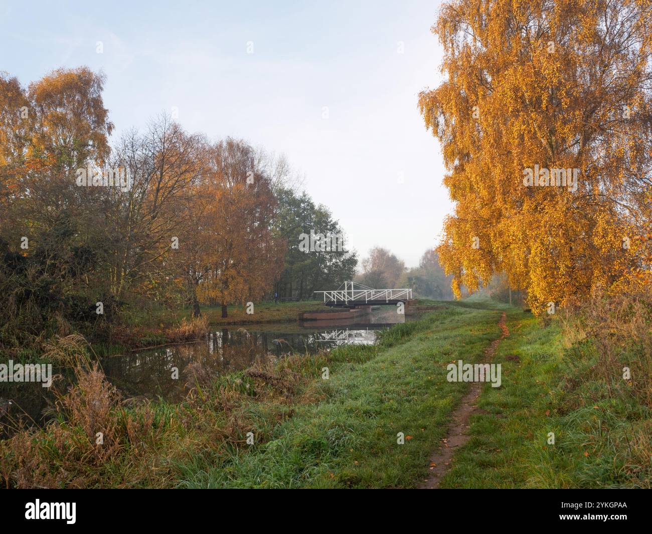 Autumn colour around Melbourne on the Pocklington Canal Stock Photo - Alamy
