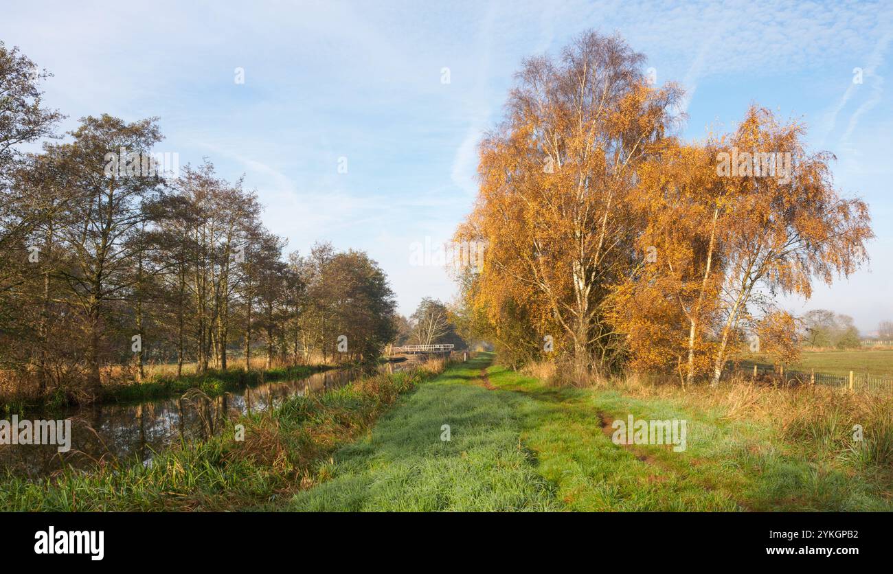 Autumn colour around Melbourne on the Pocklington Canal Stock Photo - Alamy