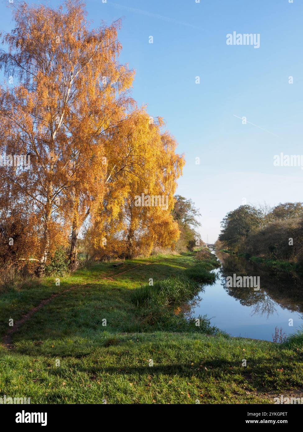 Autumn colour around Melbourne on the Pocklington Canal Stock Photo - Alamy