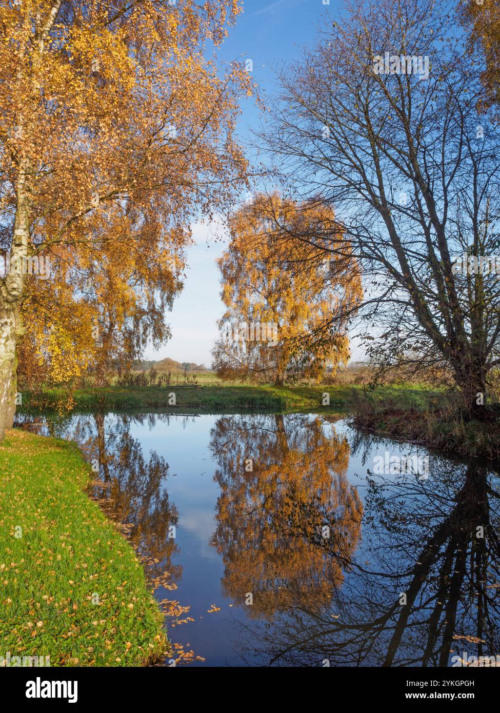 Autumn colour around Melbourne on the Pocklington Canal Stock Photo - Alamy