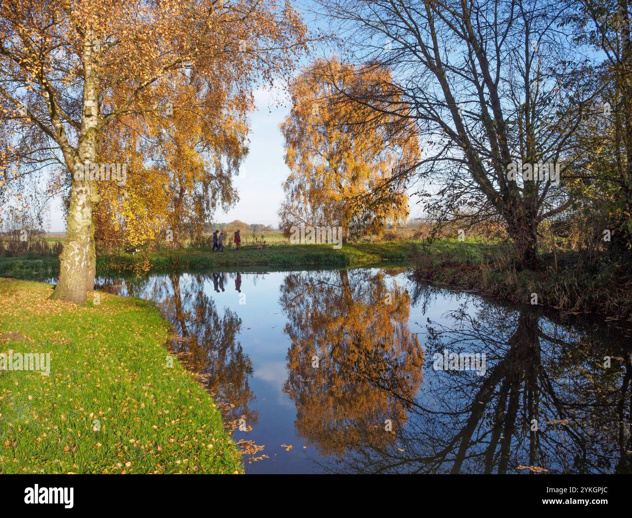 Autumn colour around Melbourne on the Pocklington Canal Stock Photo - Alamy