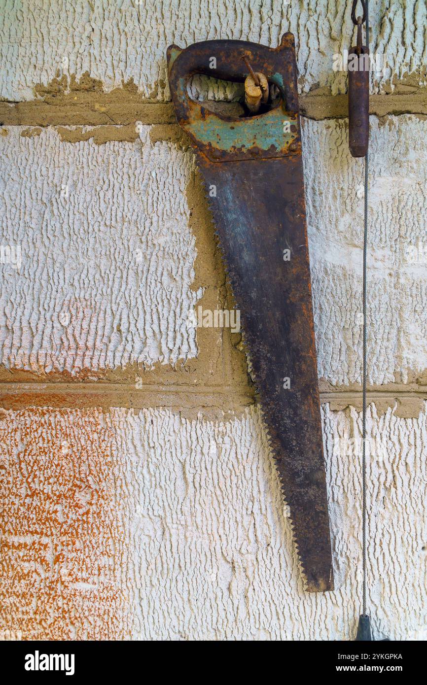 Vintage hand saw is displayed on rugged wall, highlighting its wear ...