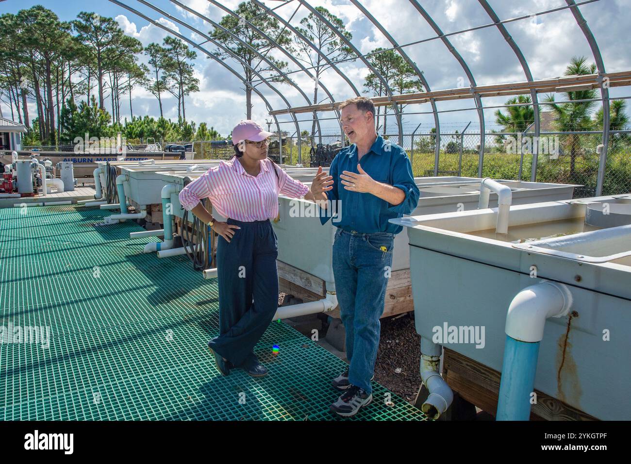 Oyster farming and production in Mobile Bay, Alabama. Dottie Lawley ...