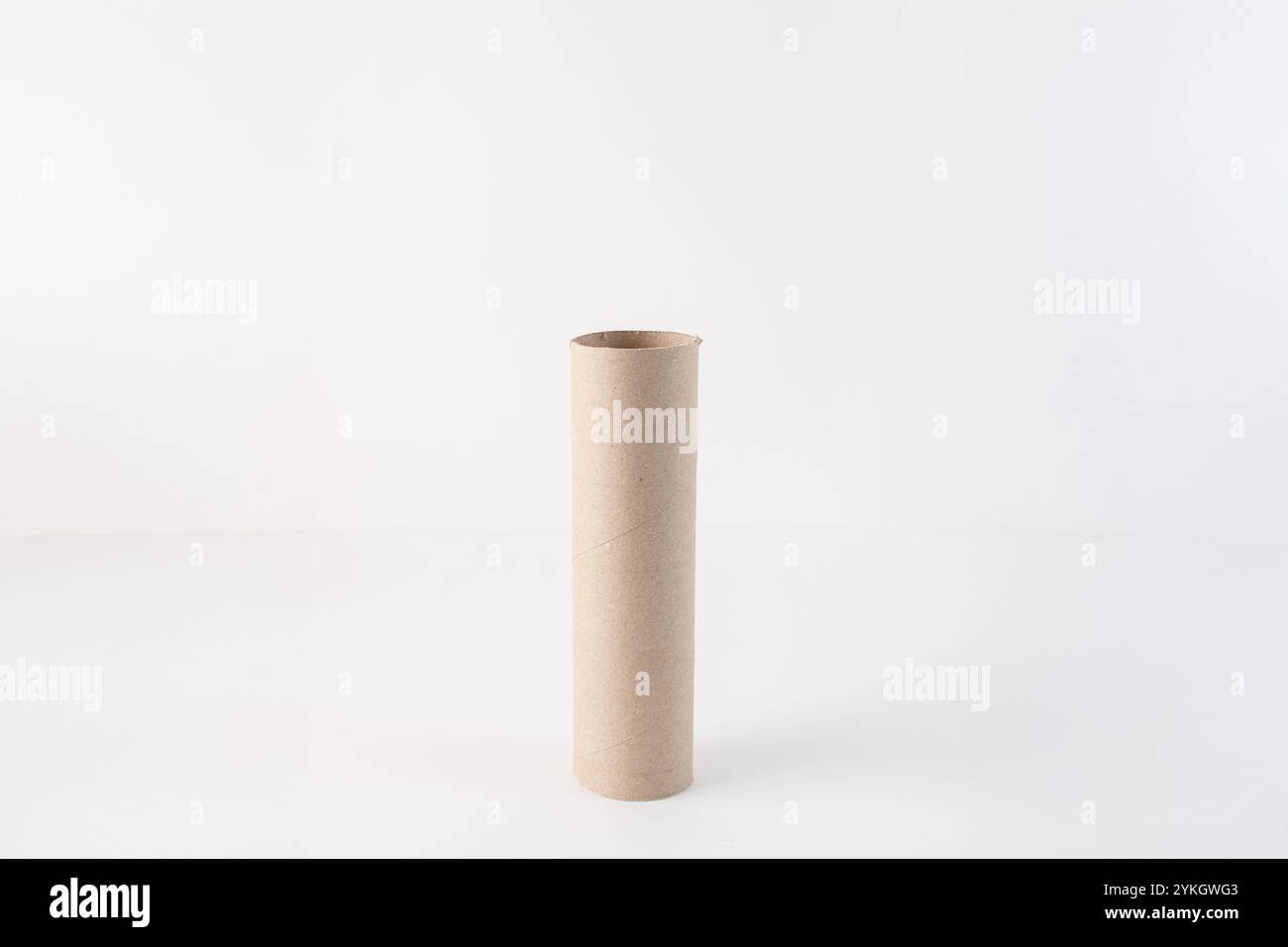 Empty paper towel rolls as materials for creative DIY project. Tutorial ...