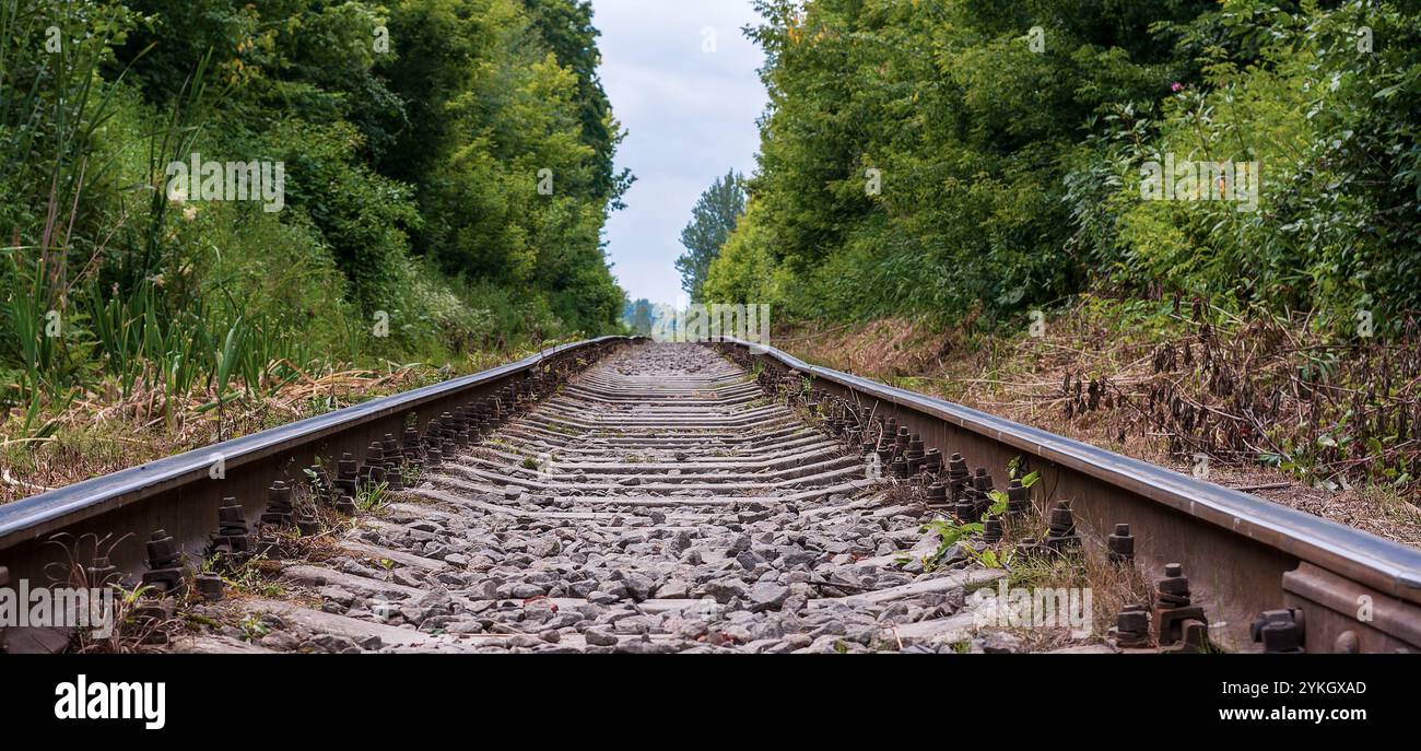 The line of an old railroad in the woods Stock Photo - Alamy