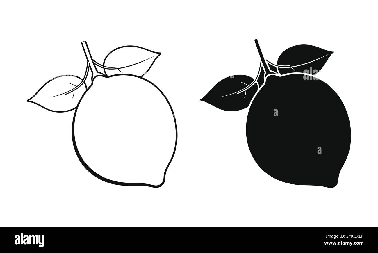 Grapefruit juice vector illustration Stock Vector Images - Alamy