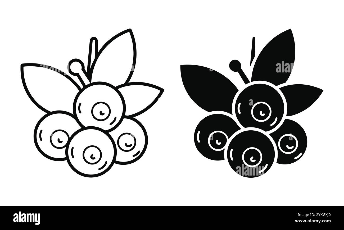 Blueberry Icons, Colors, Silhouette & Outline isolated on white ...