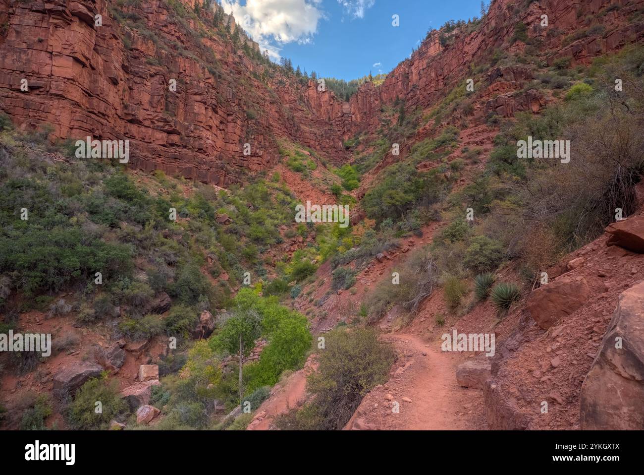 Look back at the Red Wall Cliffs of Roaring Springs Canyon along the ...