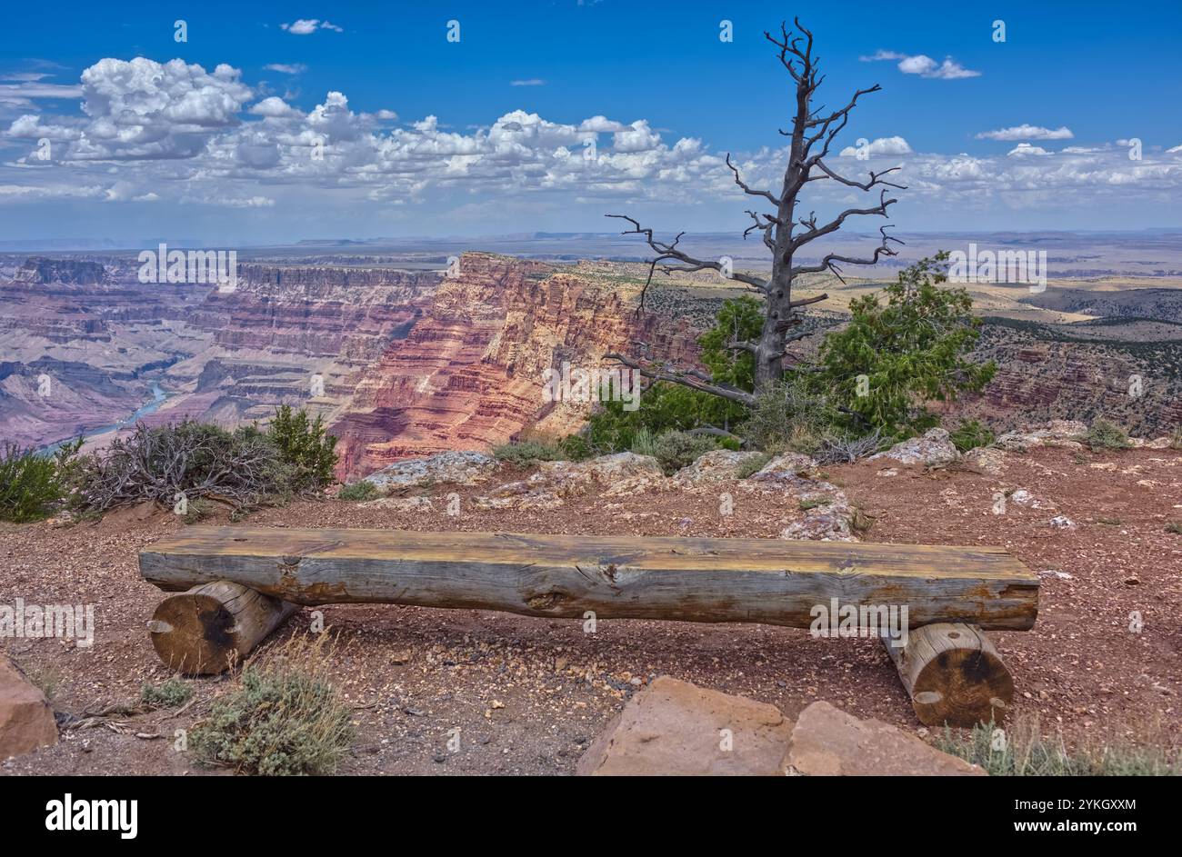 Sitting bench made of logs on Grand Canyon South Rim Arizona east of ...