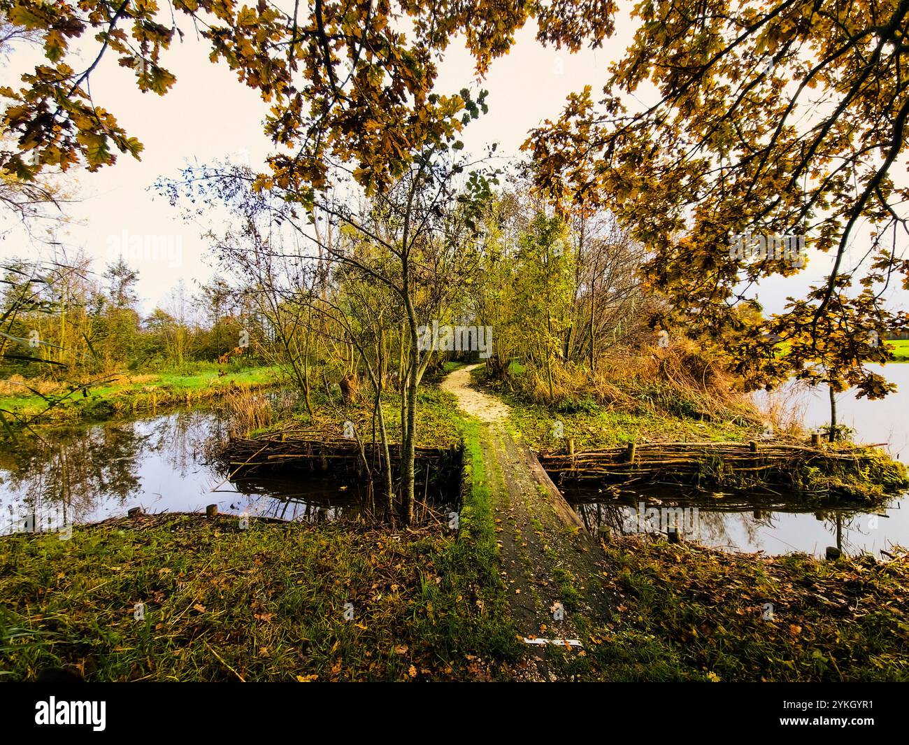 Dutch polder landscape with peat quay Spookverlaat at Kruiskade ...