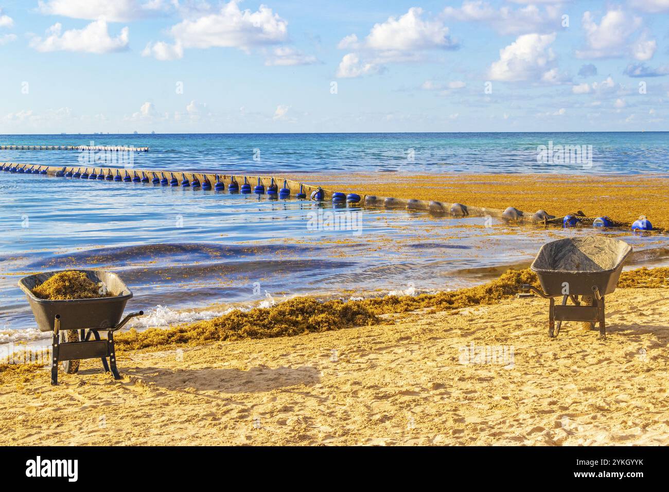 Cleaning the beach with wheelbarrow pitchfork Garden Rake Leaf Broom ...