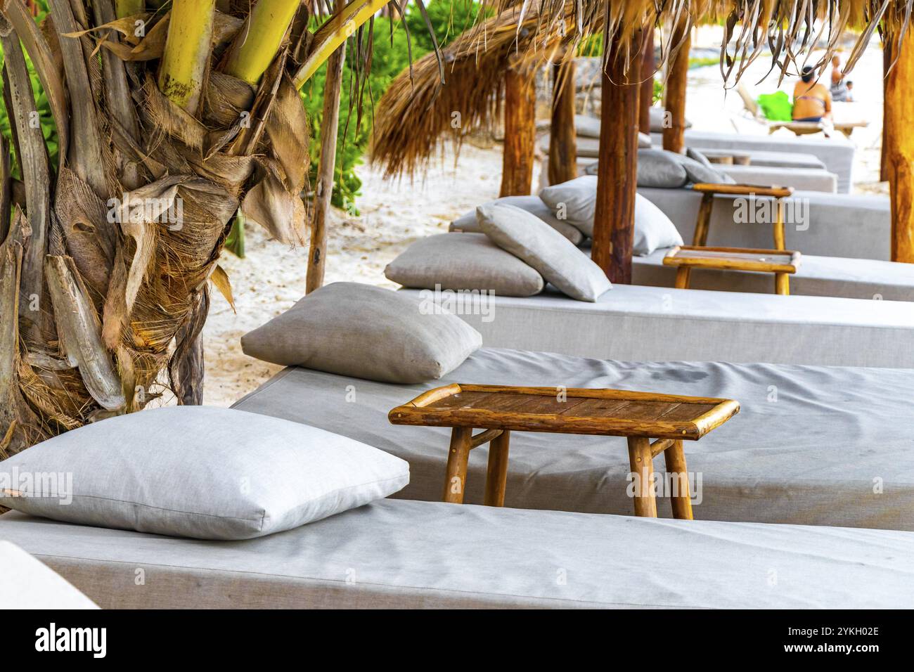Palapa thatched roofs palm trees parasols umbrellas and sun loungers at ...