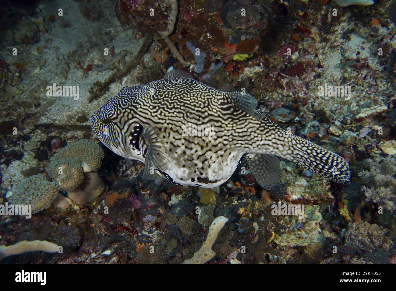Seabed map hi-res stock photography and images - Alamy