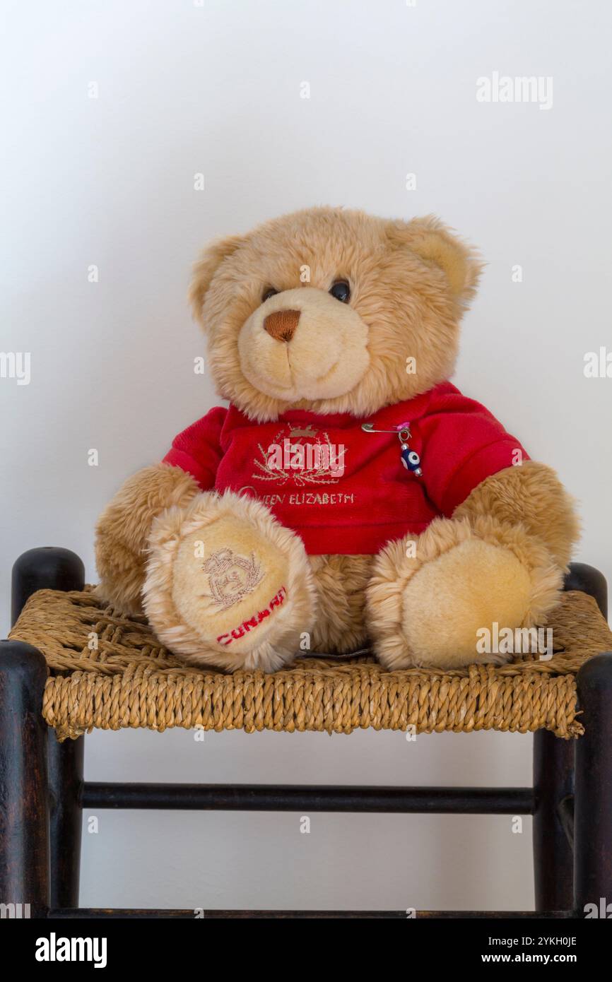 Cunard Teddy Bear soft cuddly toy wearing Queen Elizabeth red jumper ...