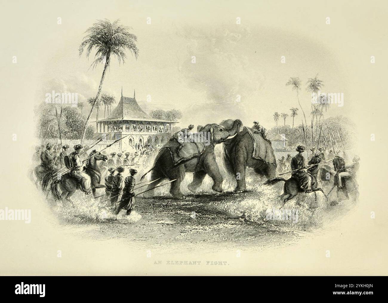 Elephant Fight. Vintage Illustration from The illustrated history of ...