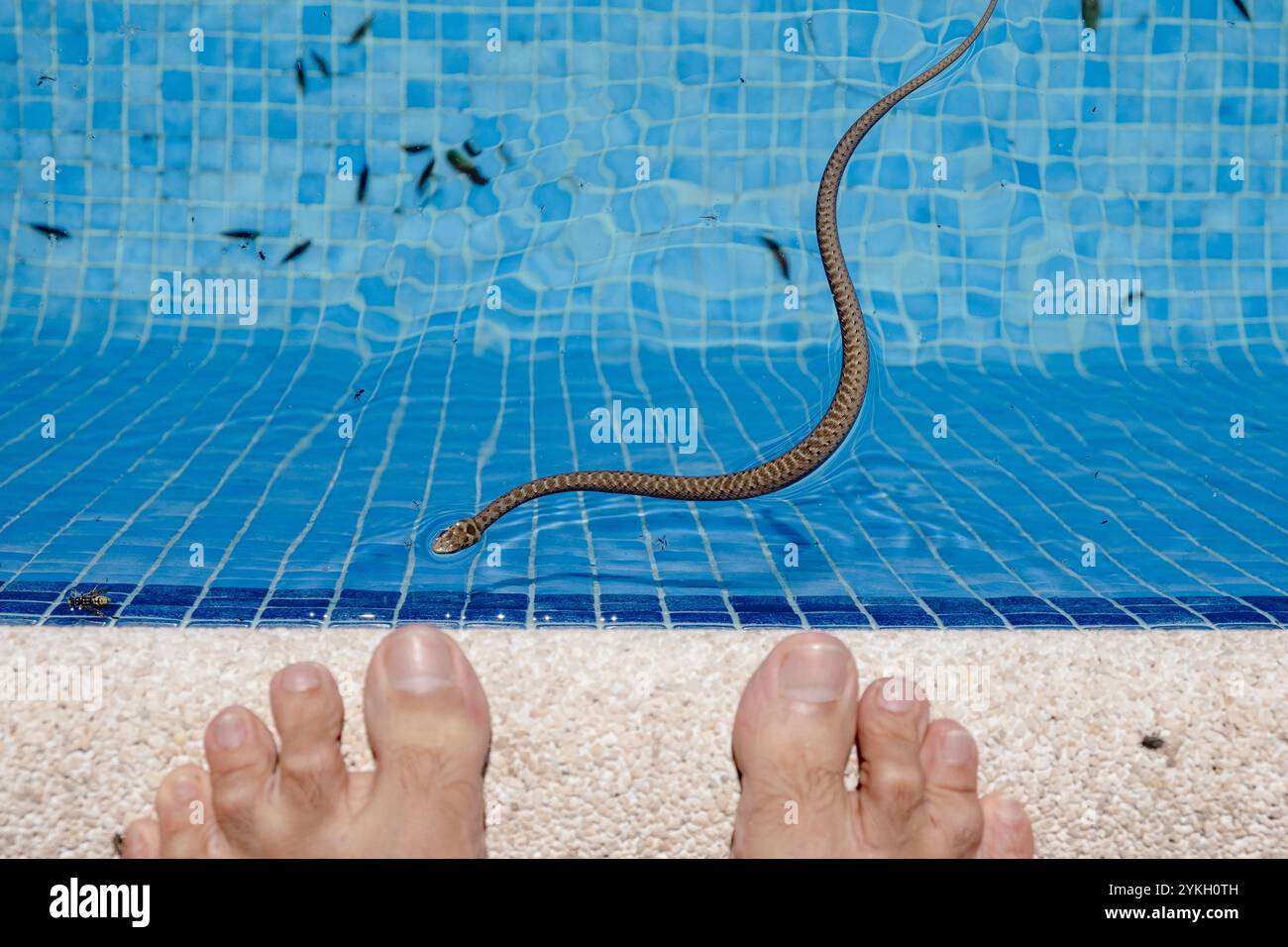 Cute baby feet closeup hi-res stock photography and images - Alamy