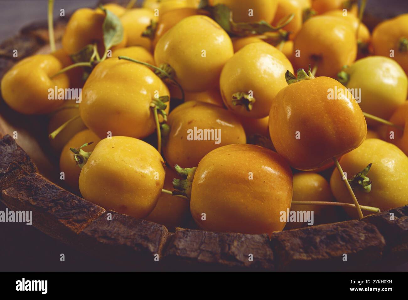 Yellow small apples, Chinese varieties, in a wooden bowl, top view, no ...