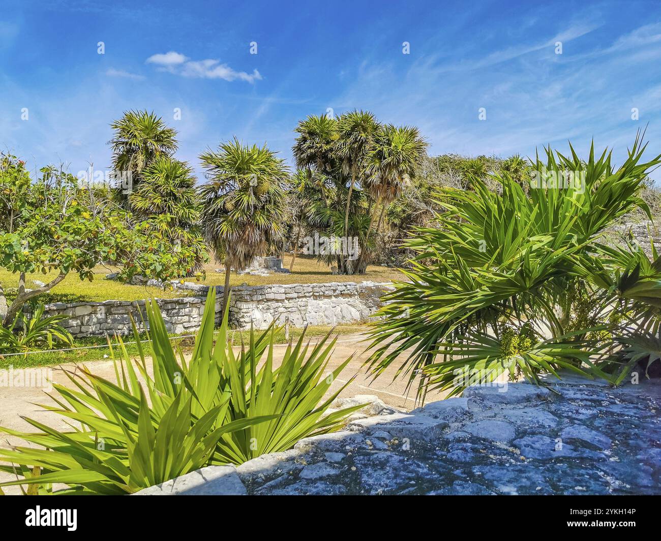 Ancient Tulum ruins Mayan site with temple ruins pyramids and artifacts ...