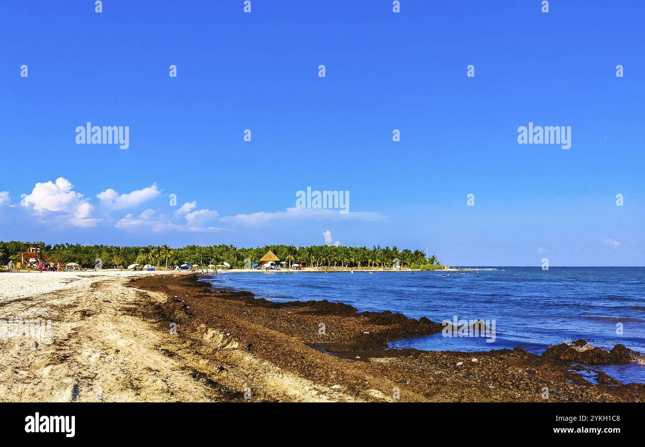 Beautiful caribbean beach totally filthy hi-res stock photography and images - Alamy