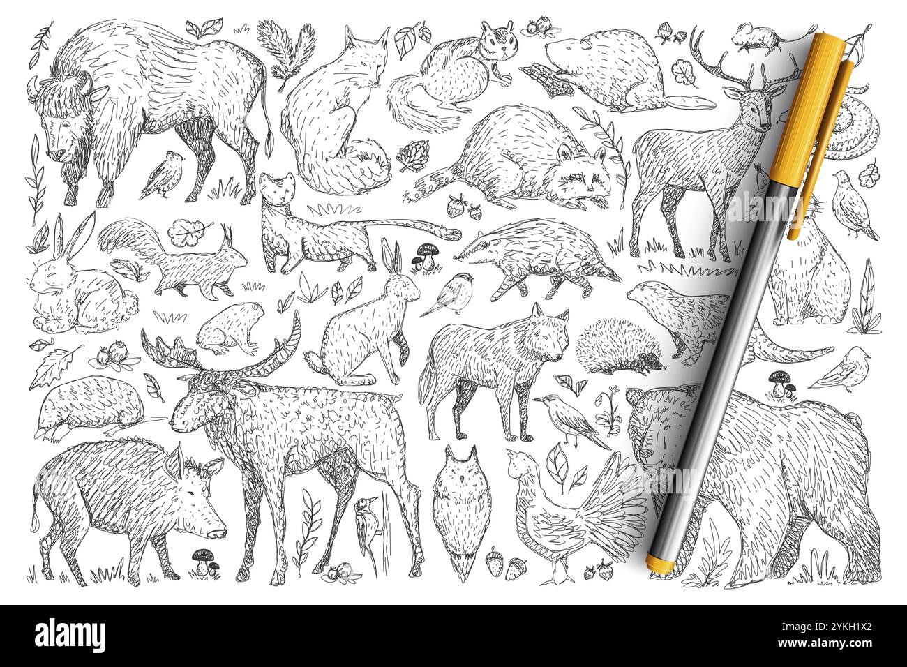 Forest wild animals doodle set. Collection of hand drawn deer fox bear ...