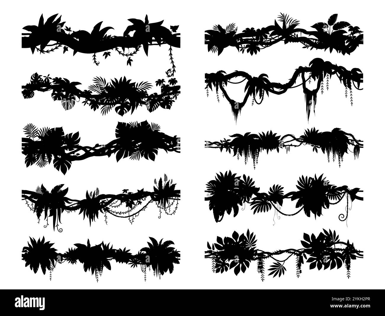 Tropical jungle forest liana branch silhouettes vector set. Black ...