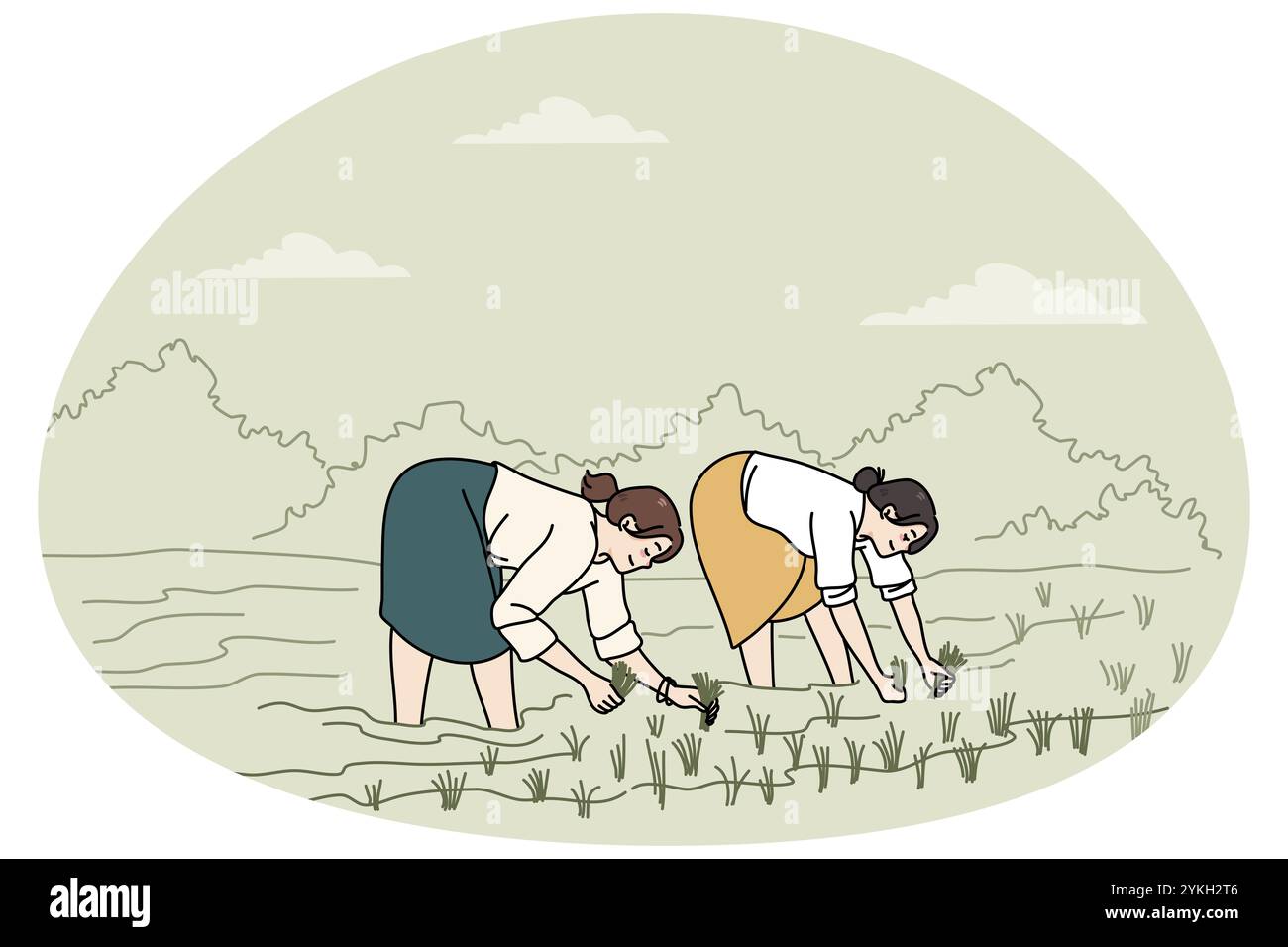 Women standing in water on plantation working on rice field. Female ...