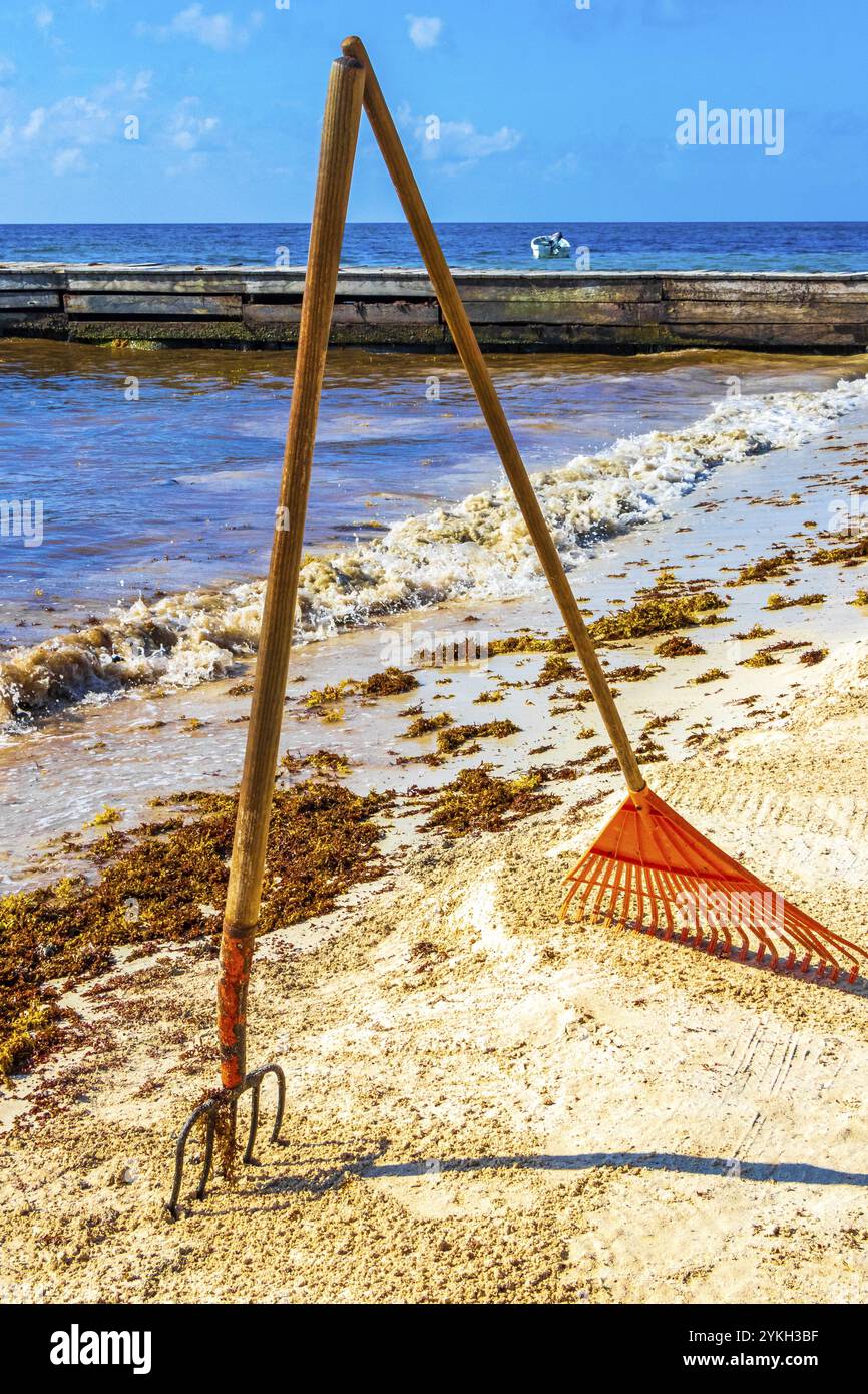 Pitchfork Garden Rake Leaf Broom and a lot of very disgusting red ...