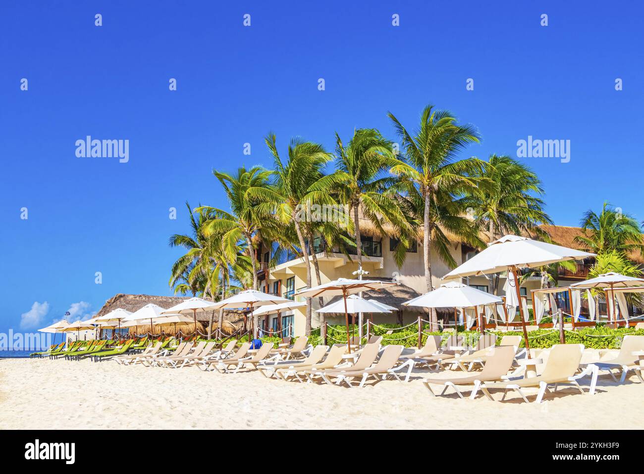 Palm trees parasols umbrellas and sun loungers at the reef coco beach ...