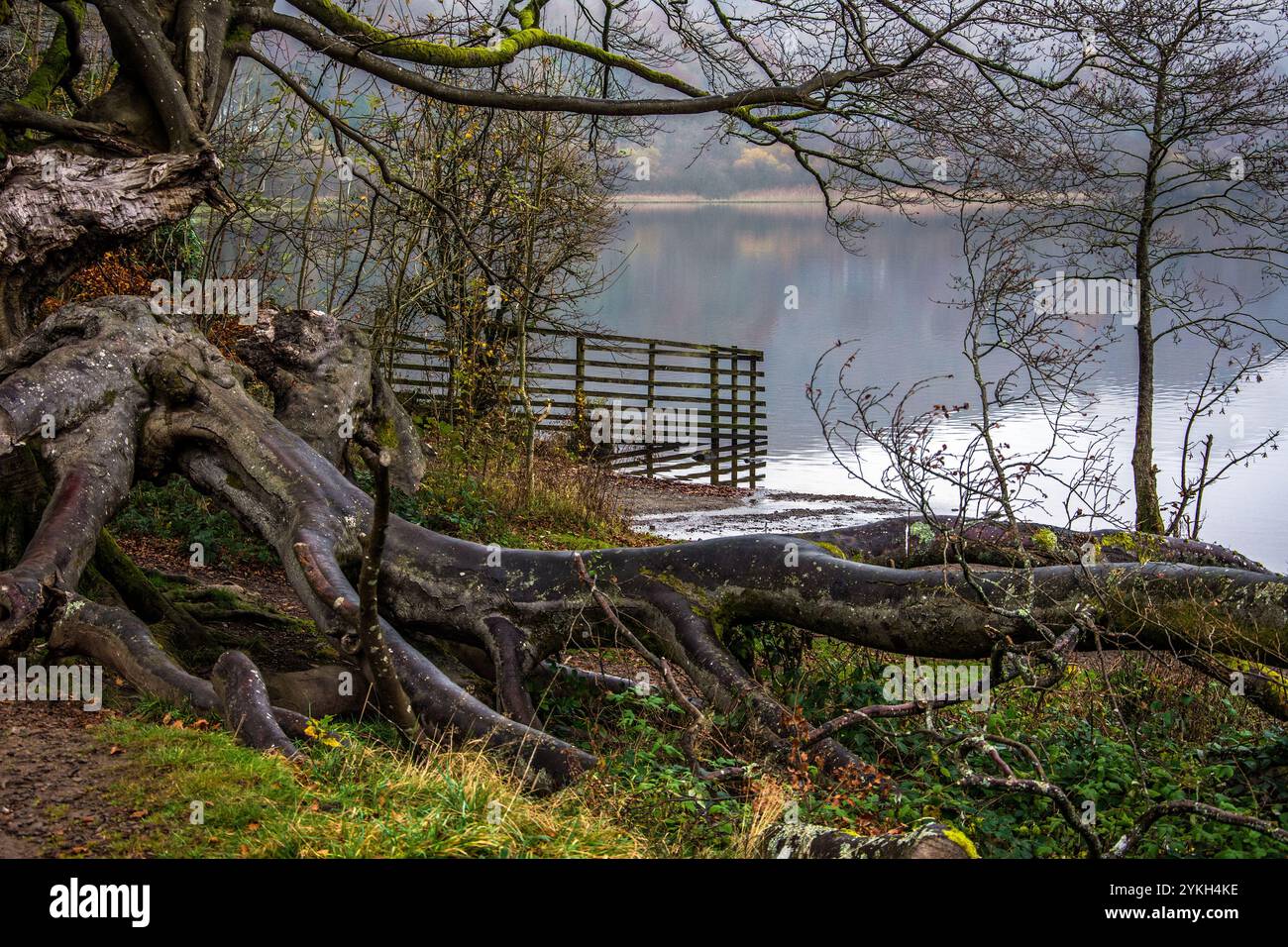 Autumn view of Lake Grasmere Stock Photo - Alamy