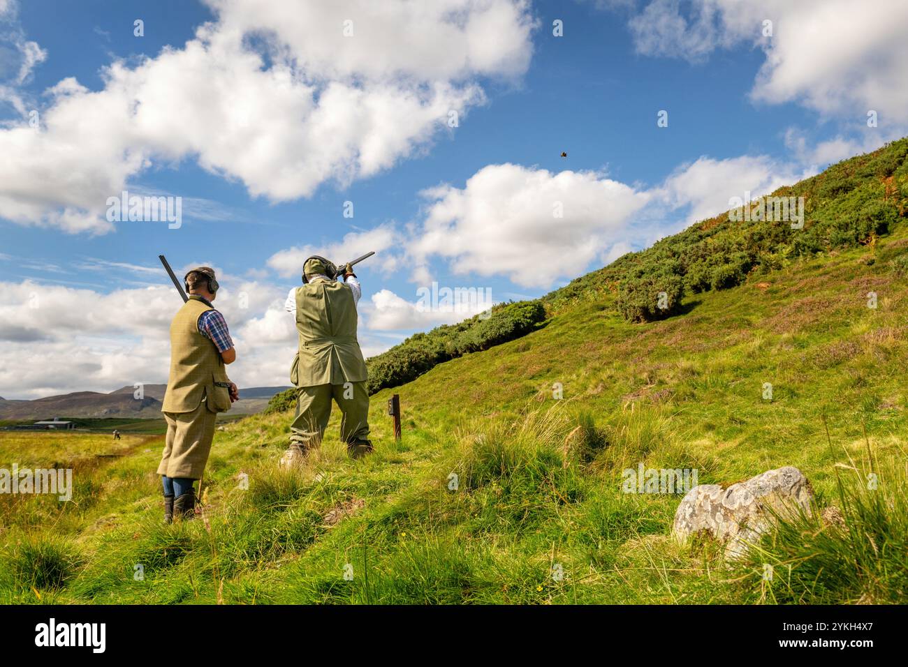 Images of the shooting of driven game birds, including grouse, on a ...
