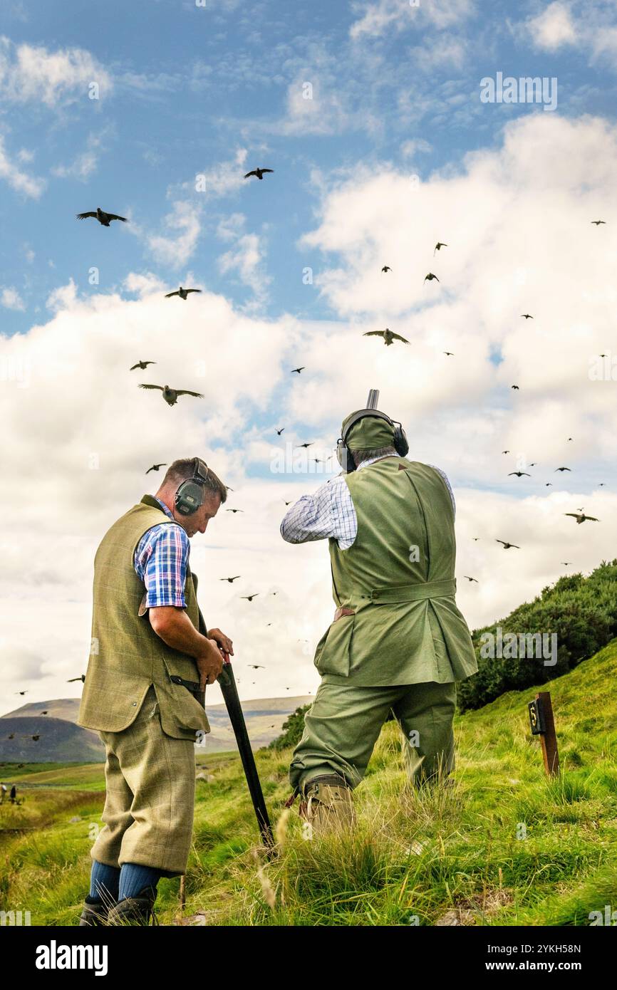 Images of the shooting of driven game birds, including grouse, on a ...