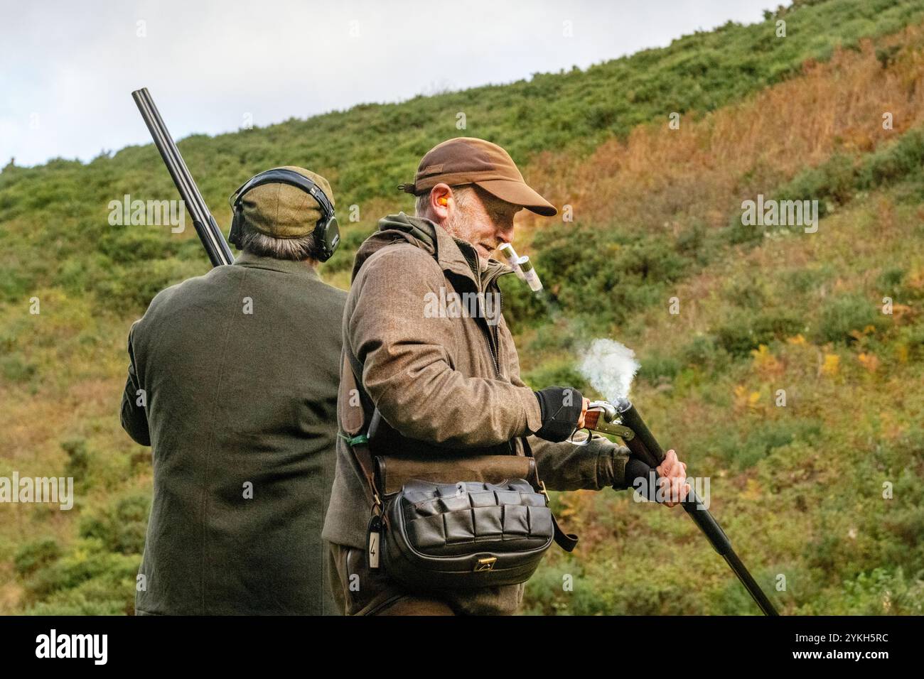 Images of the shooting of driven game birds, including grouse, on a ...