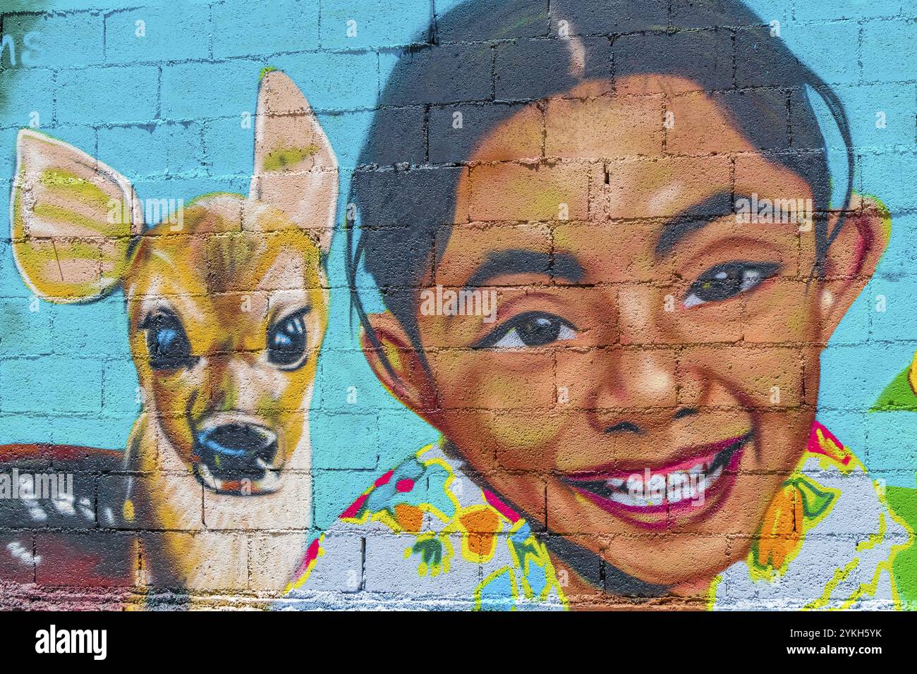 Murales De Playa Del Caribe Playa Del Carmen Quintana Roo Mexico 2021