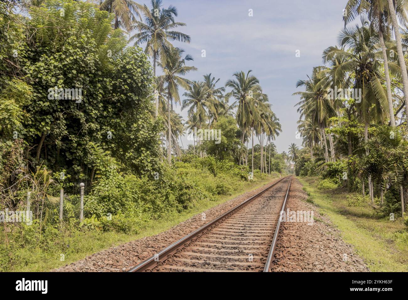 Train tracks and way in Sri Lanka with beautiful tropical landscape ...