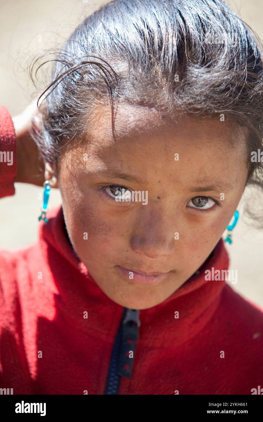 October 2009 WWF Everest - working in field near Dengboche Stock Photo ...