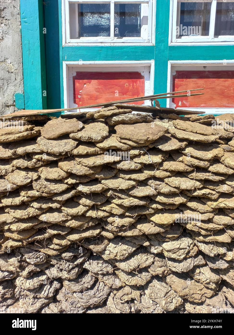 Vertical photo of a neat stack of dried yak dung , in Khumbu, Nepal Stock Photo - Alamy