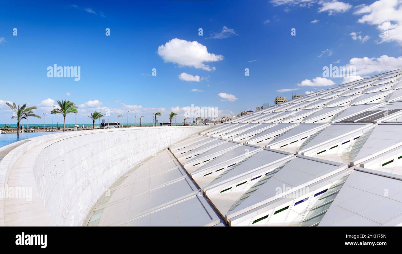 Library of Alexandria - one of the largest libraries of antiquity ...