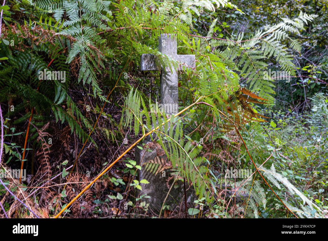 Sacredcross hi-res stock photography and images - Alamy