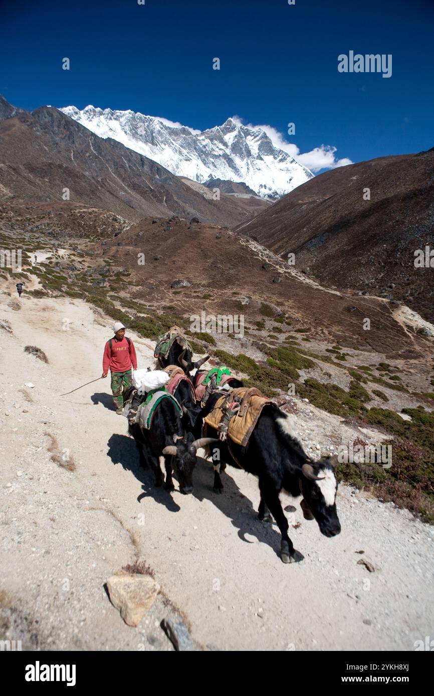 October 2009 WWF Everest en route Pangboche to Dengboche everest range ...