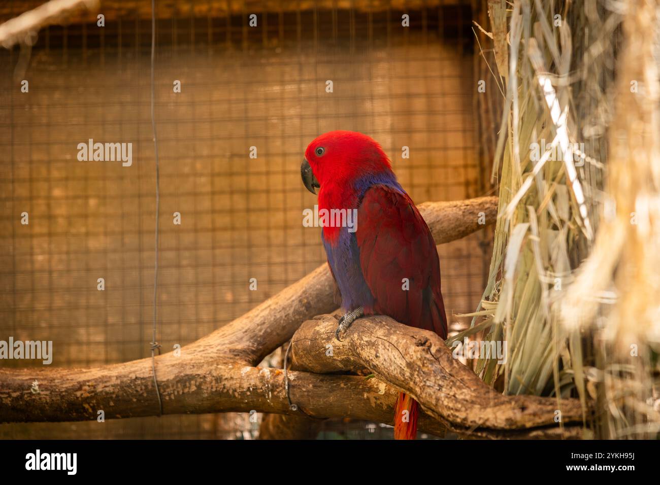Alone female black eye hi-res stock photography and images - Alamy