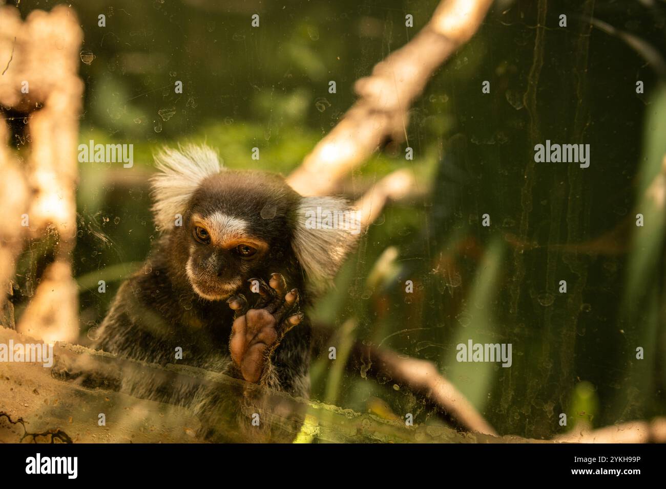Baby looks through window hi-res stock photography and images - Alamy