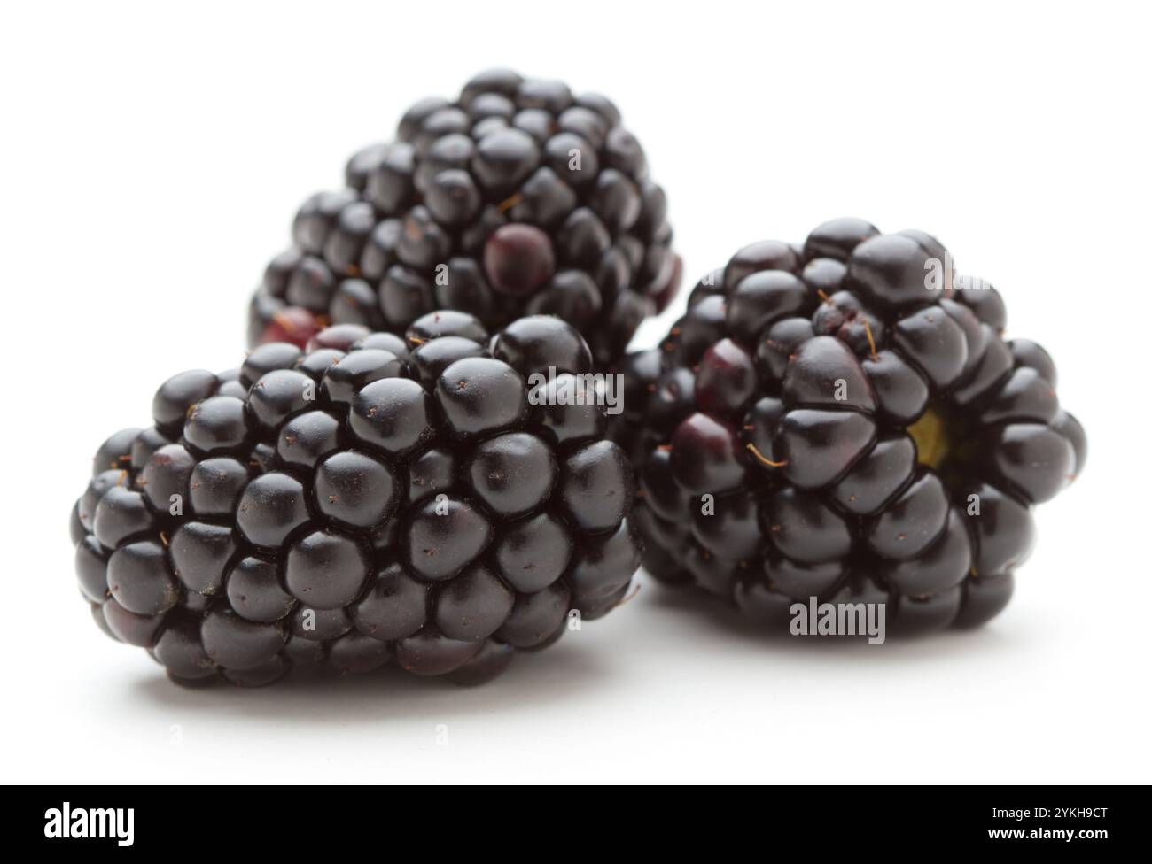 Delicious fresh ripe blackberries Cut Out Stock Images & Pictures - Alamy