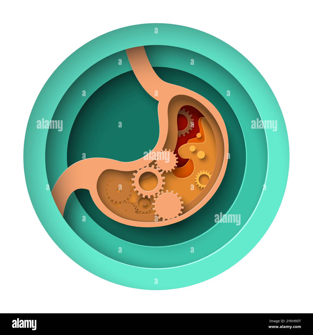 Medicine digestion process hi-res stock photography and images - Alamy