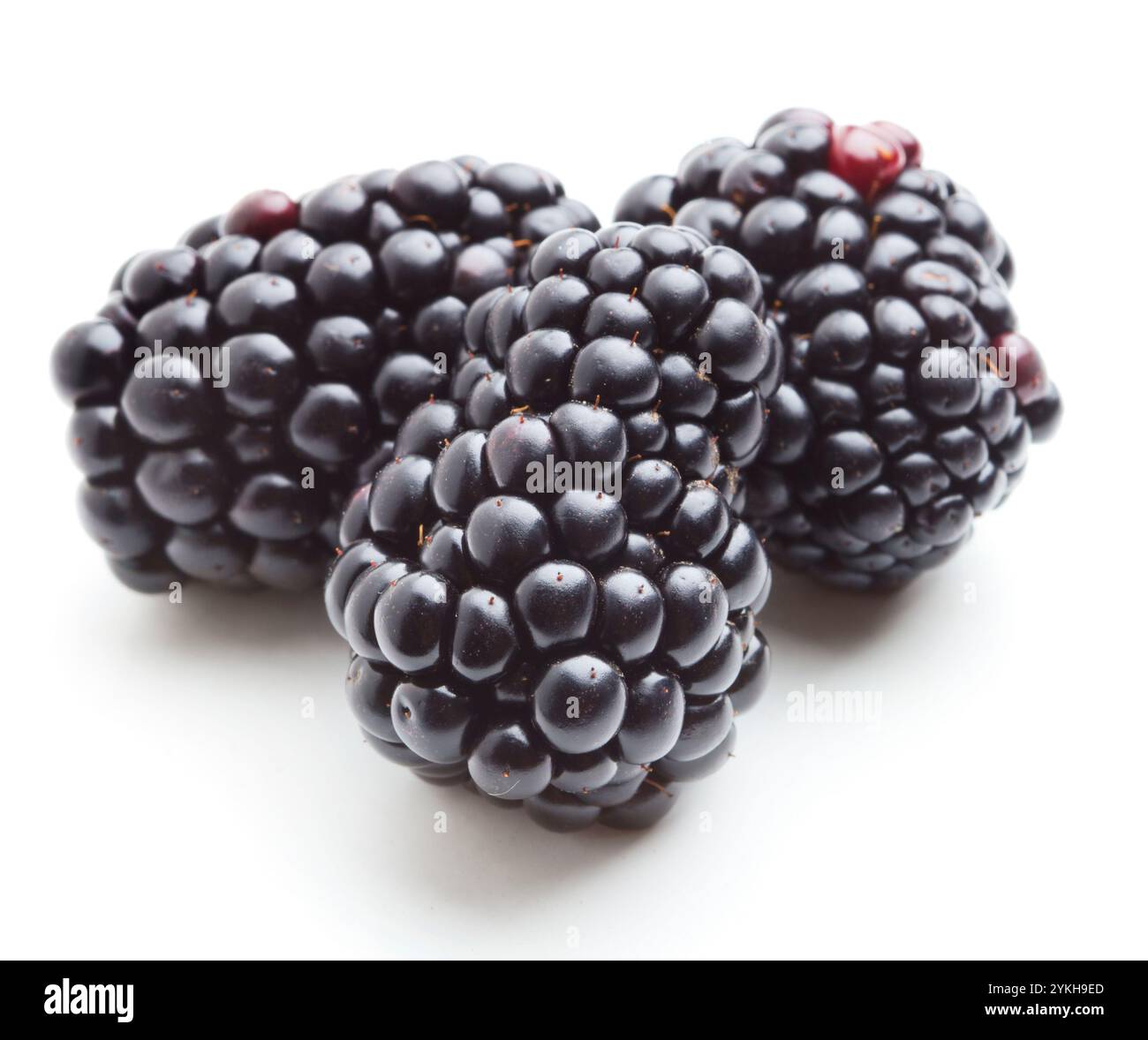Delicious fresh ripe blackberries Cut Out Stock Images & Pictures - Alamy